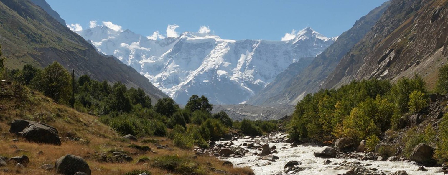 Галина Петрова