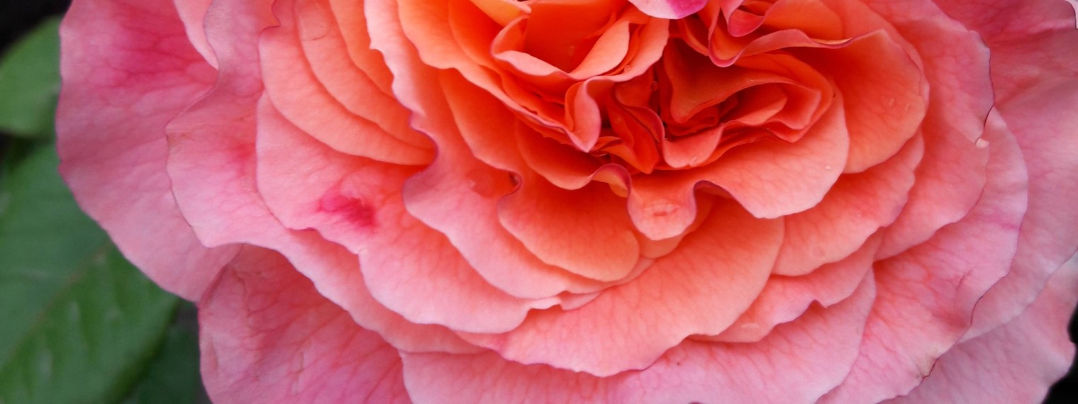 Есть рецепт