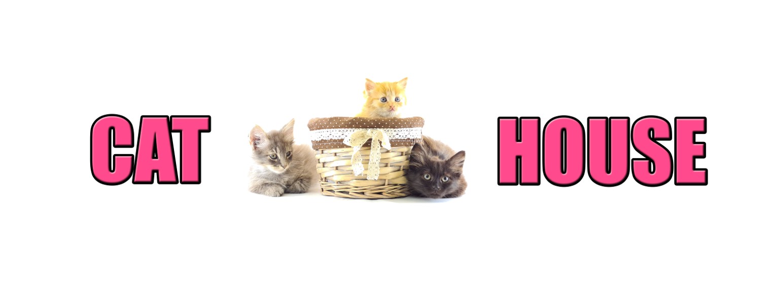 Cat House