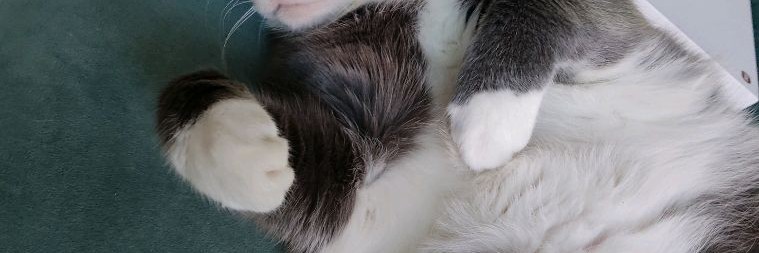 ꧁☯☂️𝐑𝐢𝐬𝐫𝐞𝐲☂️☯꧂s