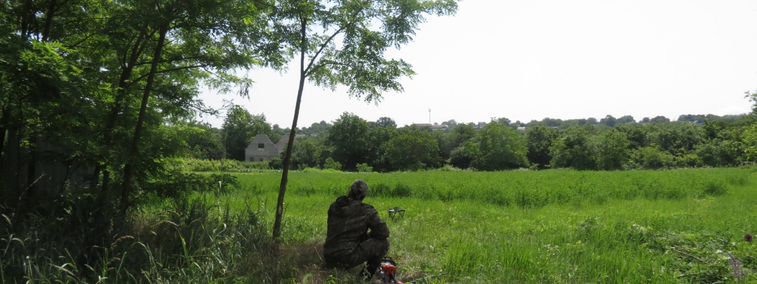 БЕСКОНЕЧНАЯ ИСТОРИЯ