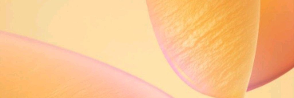 НЕ СТОИТ ЗНАТЬ