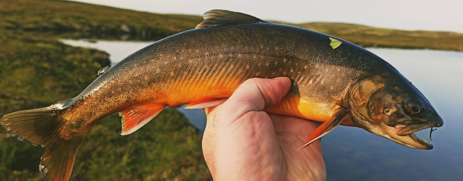 Tundra fish house. Рыбный дом на RUTUBE: 5 видео – смотреть онлайн и ...
