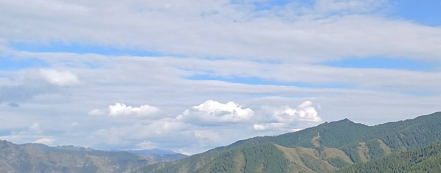 Лара Смирнова