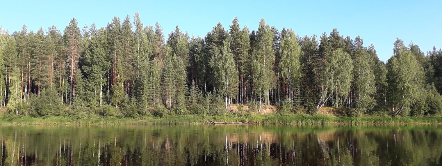 Исхаков Алексей