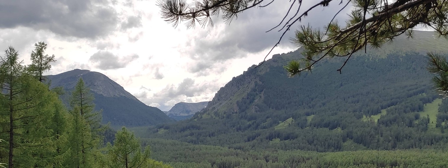 Техника и жизнь