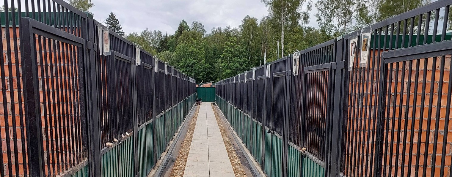 Счастье-это когда все дома. Приют ТиНАО