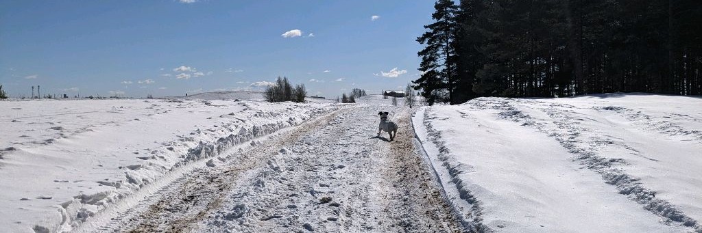 Вадим Нечепуренко