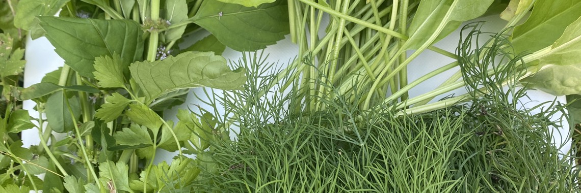 Дневник нутрициолога