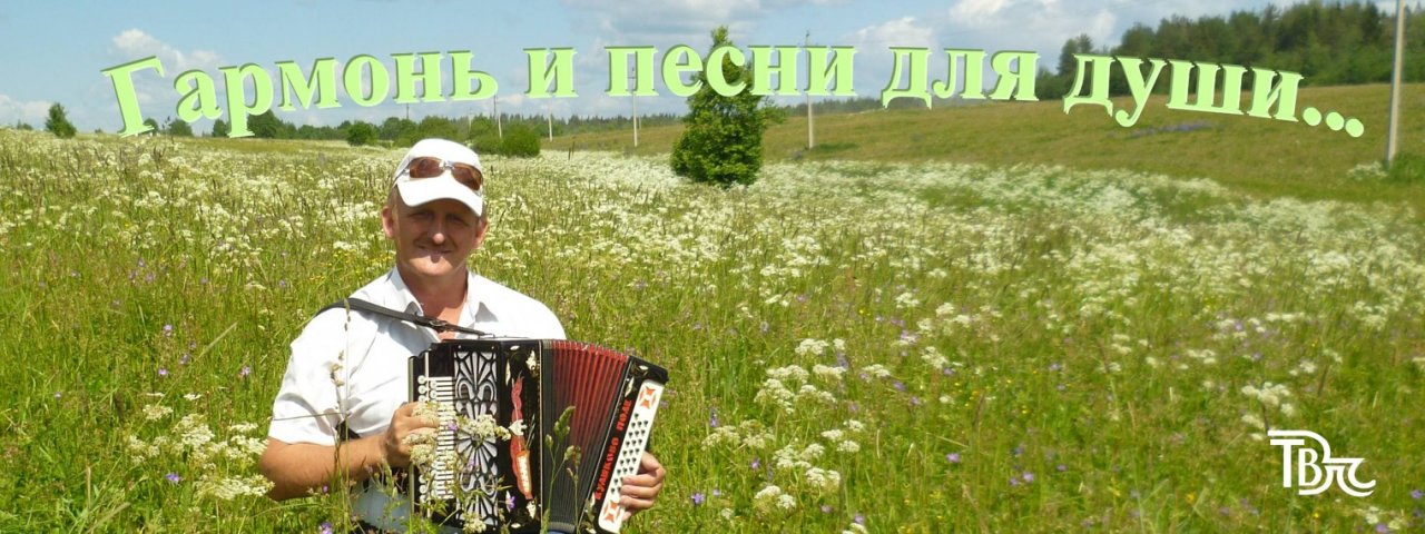 Гармонь и песни для души