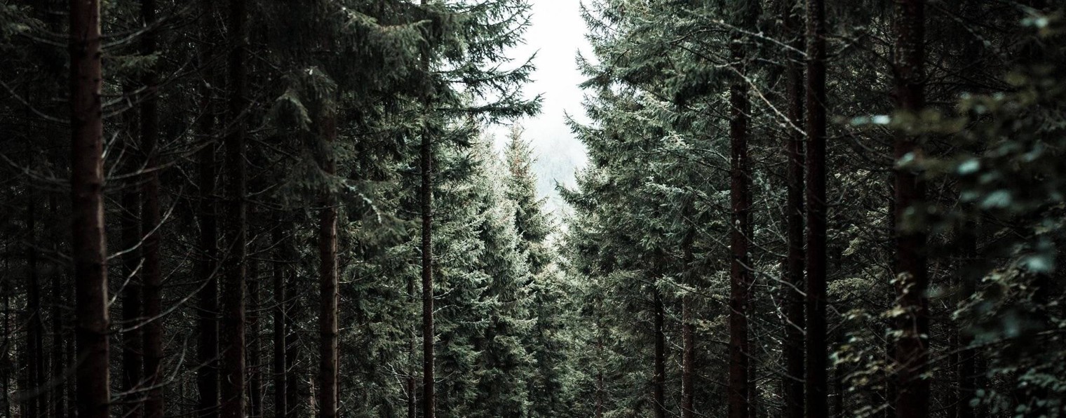 ПРОГРЕСС С НУЛЯ