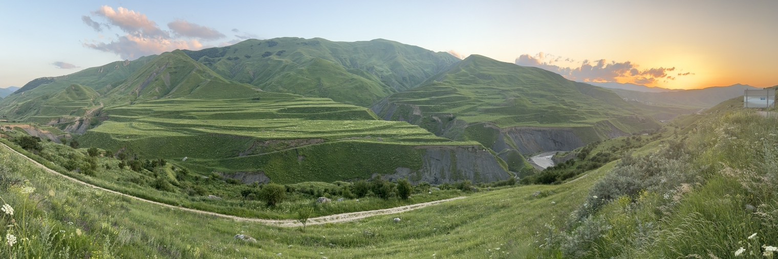 Мухаммад Сулейманов