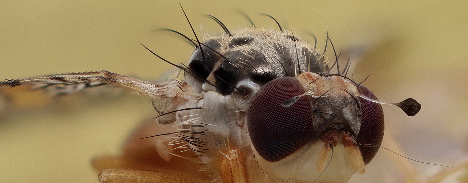 Учебный центр ФГБУ "ВНИИКР"