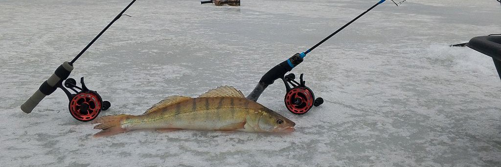 С сыном на рыбалке 34