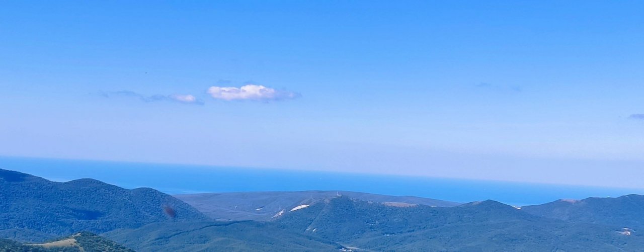 Риддик (Шеф) фон Тир