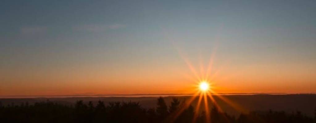 Андрей Саган