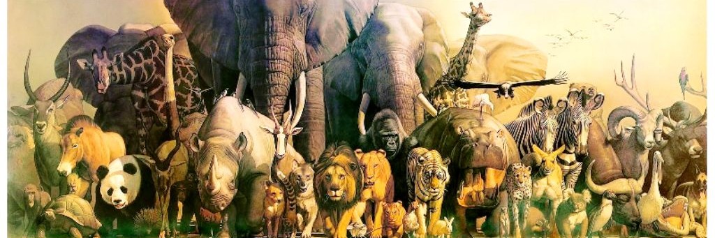 Животный Мир ? планеты ✌️