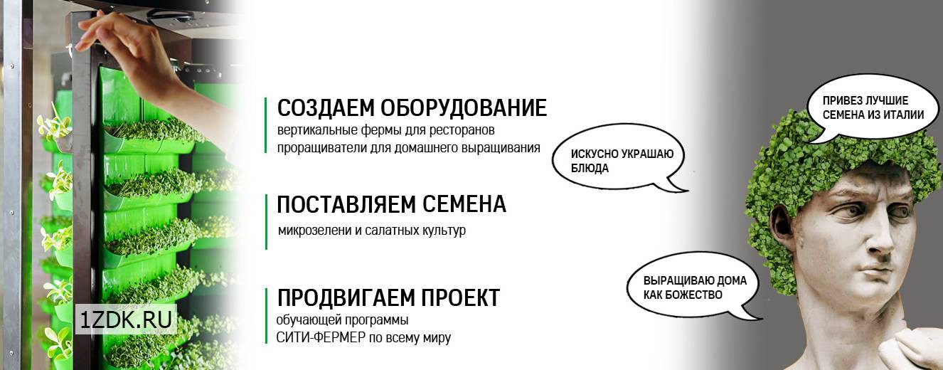 Здоровья КЛАД