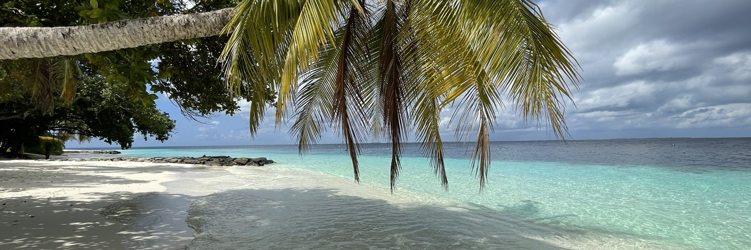 Мой мир и мир моими глазами