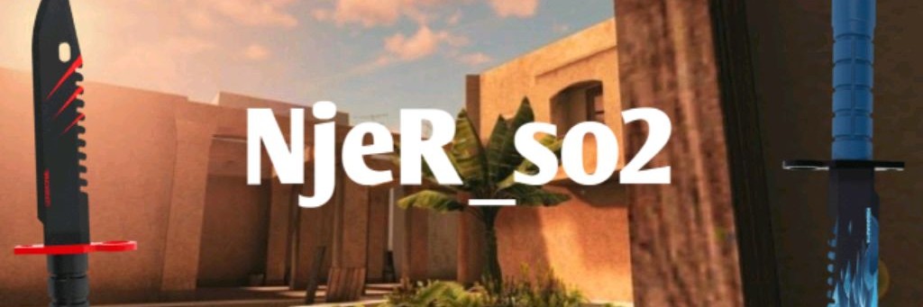 NjeR