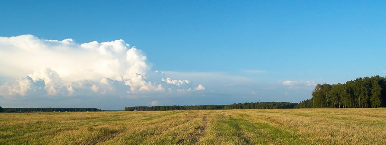 Oleg_S