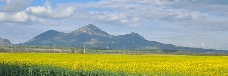 Елена Автоняня