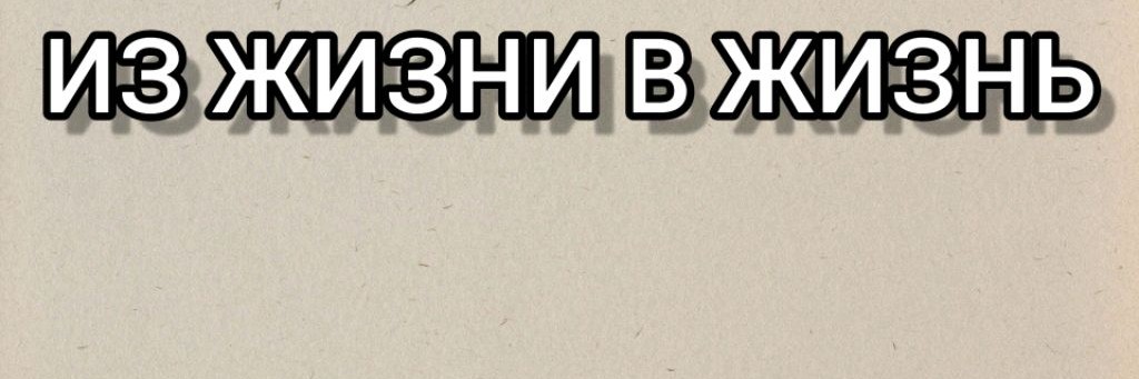 Из жизни в жизнь