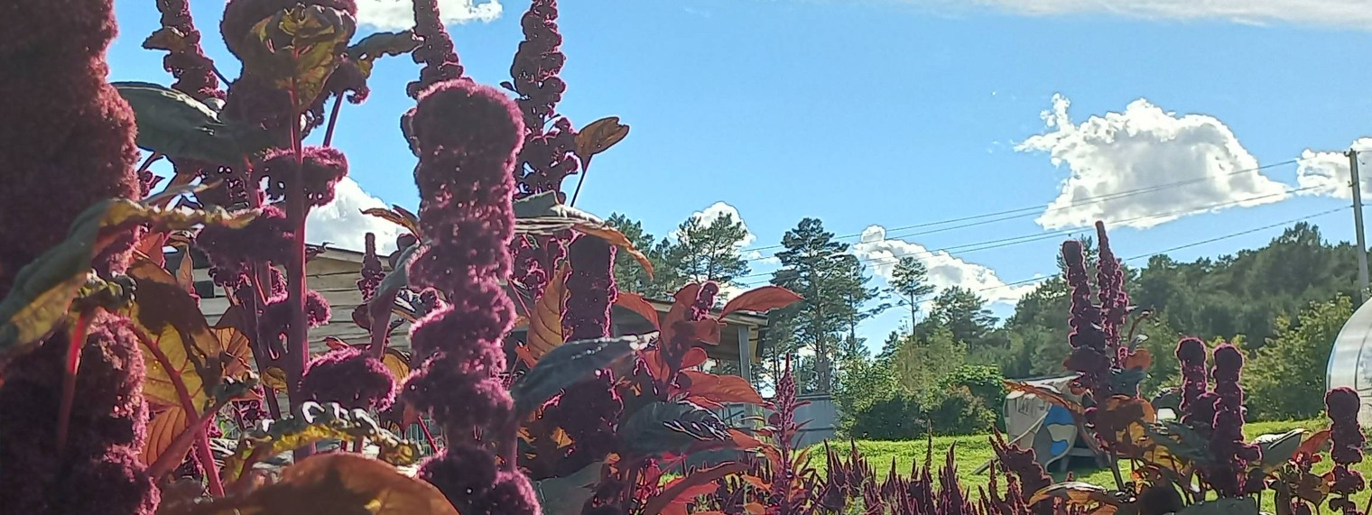 СУПЕРШТЭЙН #SUPERSHTEYN