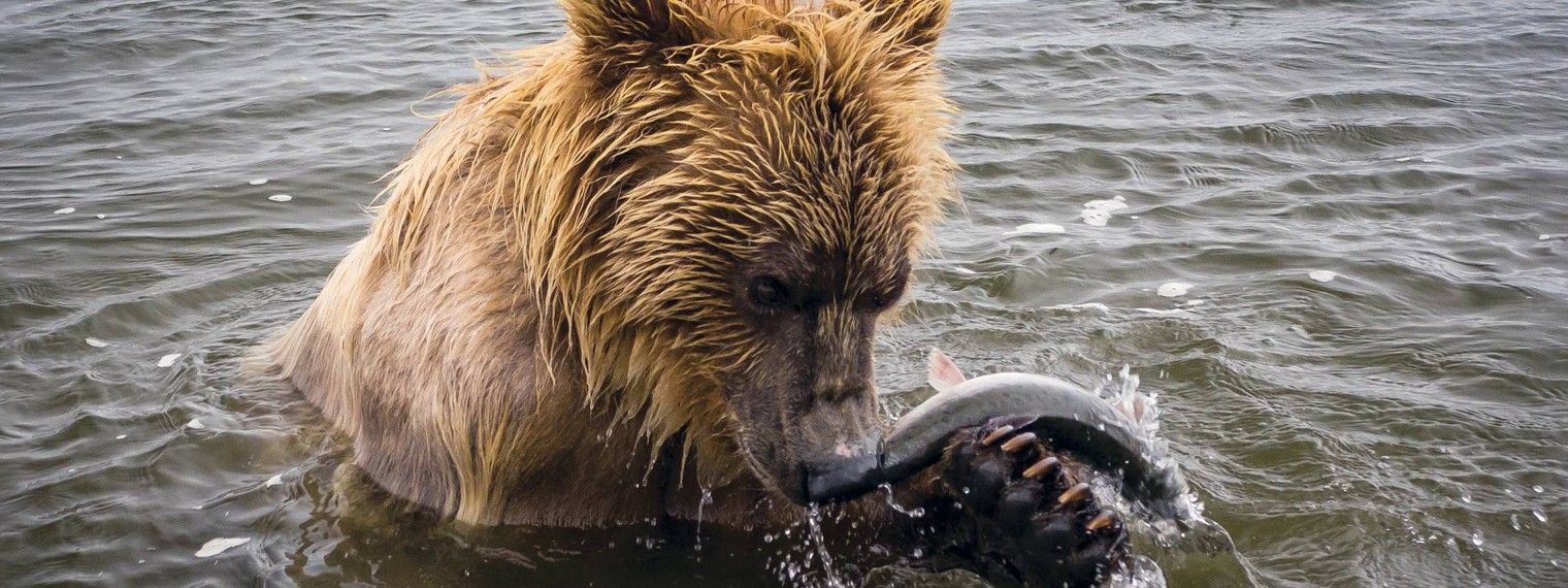 FISHKAMCHATKA