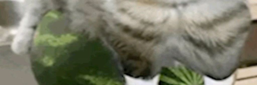 KILLER