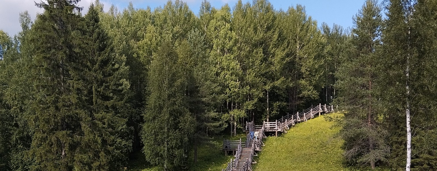 Ирина Ситникова.