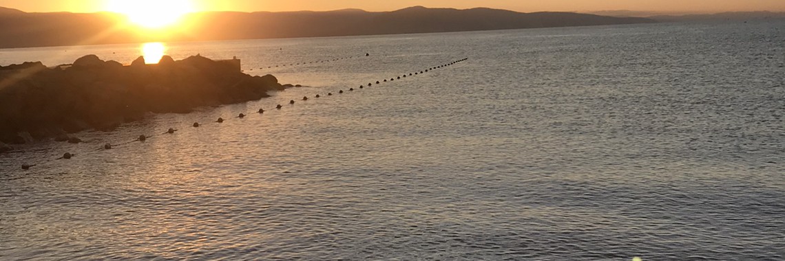 Клюёт вчера и завтра ??