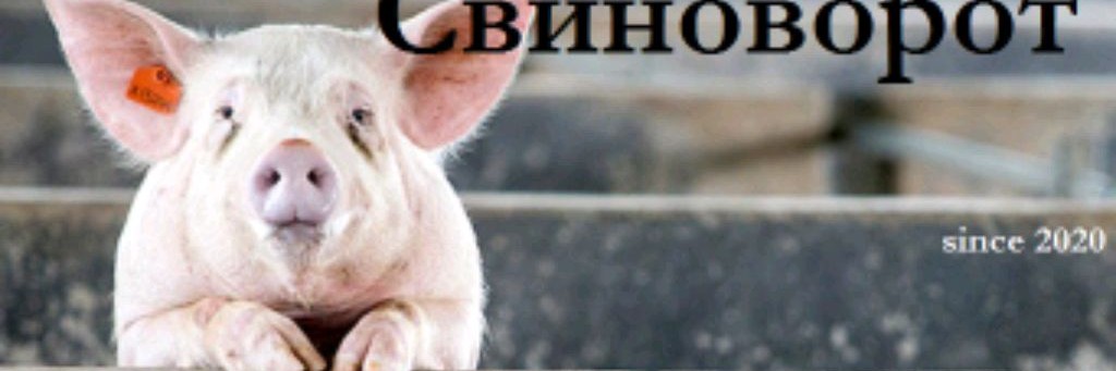СВИНОВОРОТ