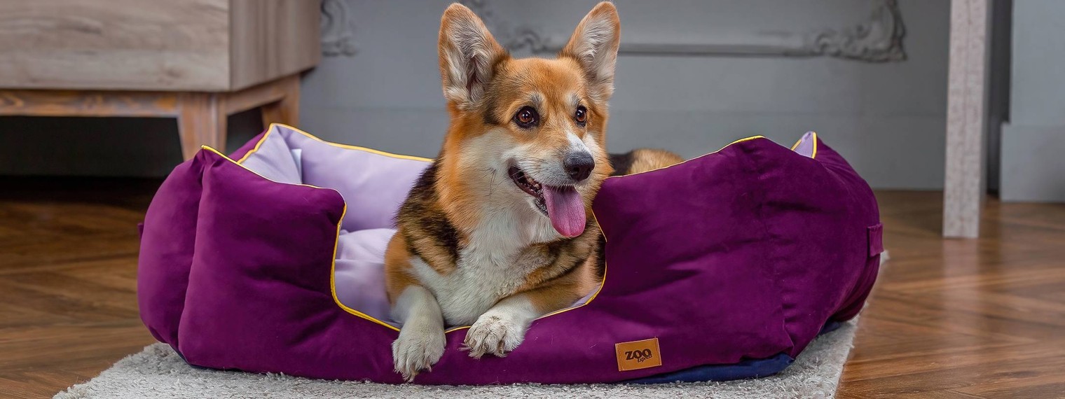 компания ZOOEXPRESS