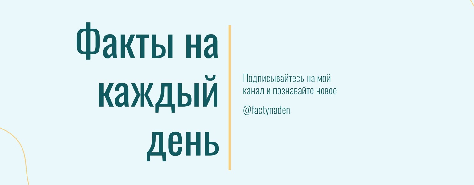 Факты на каждый день