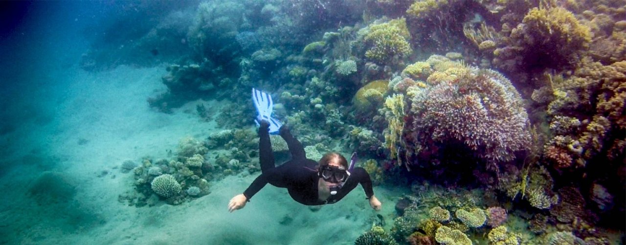 Володя. Клипы и тд.