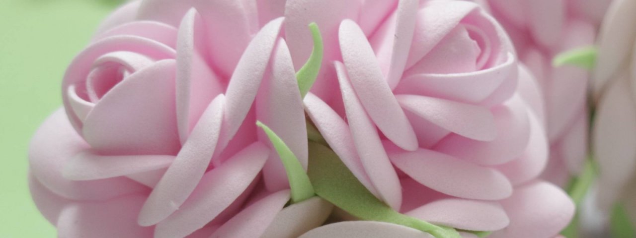 Светлана Золотарева