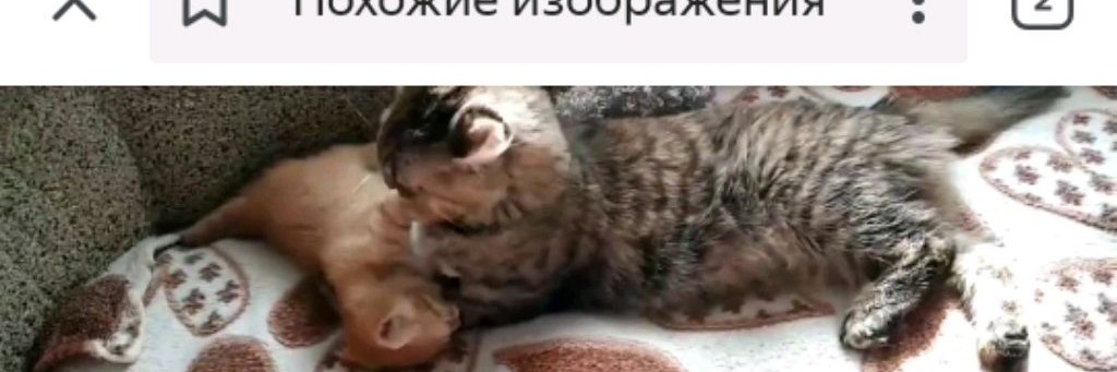 Соня007