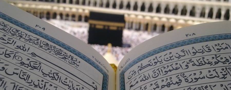 NaShEeDs