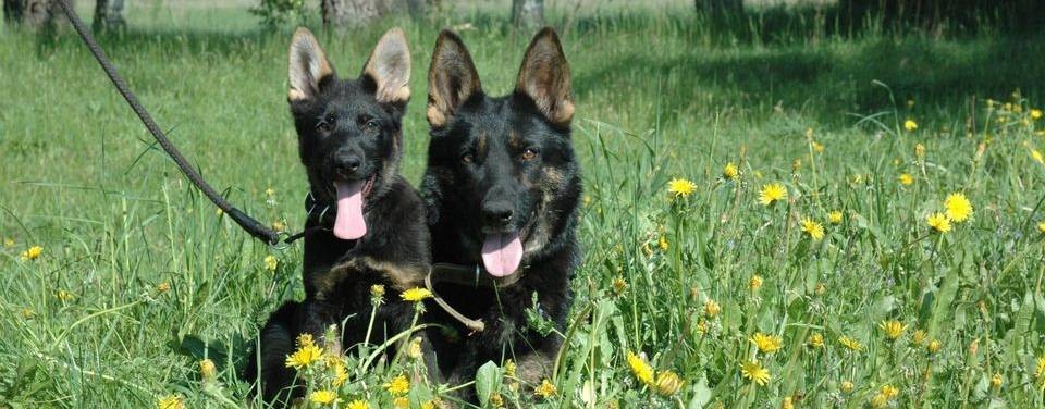 Наталия Владимировна Голей