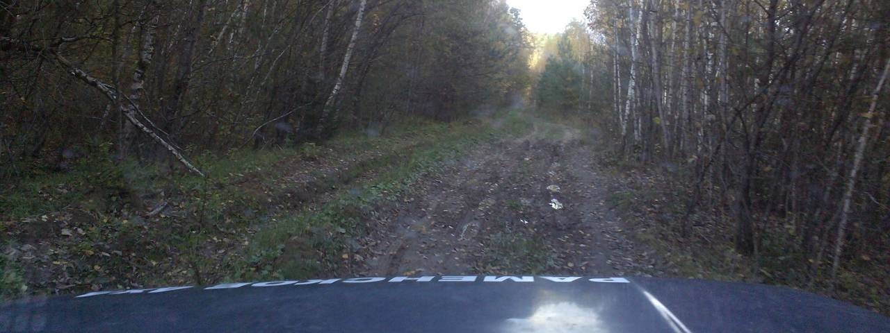 Zoom Zoomich