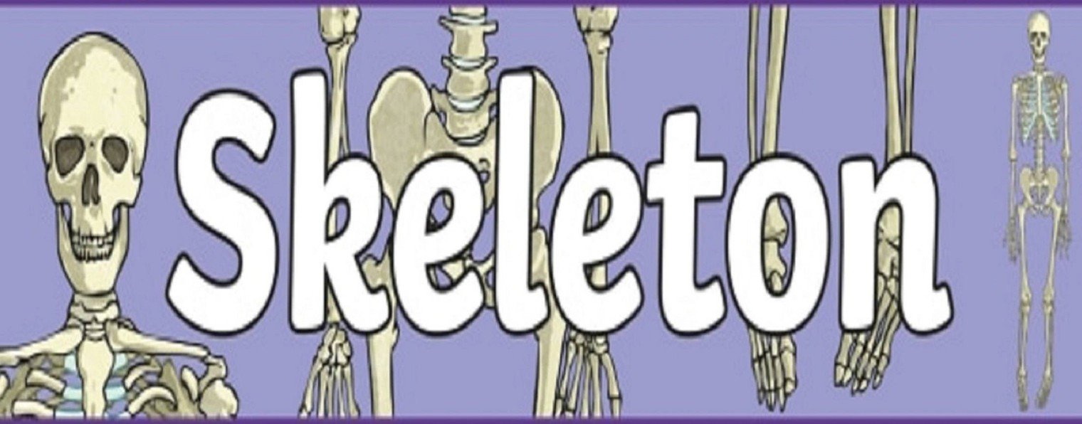 SkeLeToN