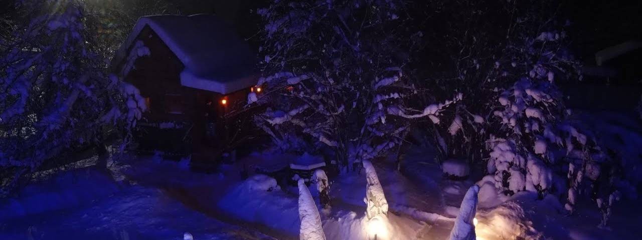 НеДД!