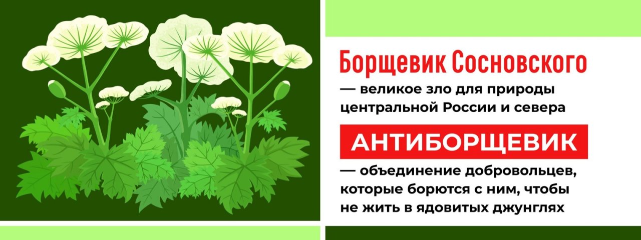 Антиборщевик
