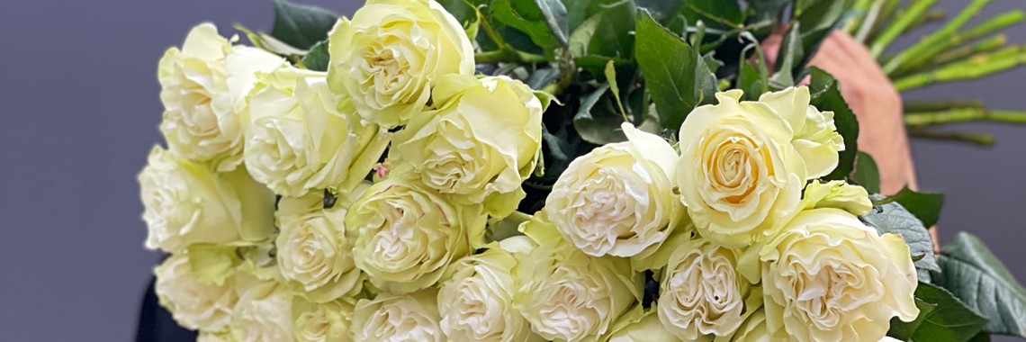 Милан Савич