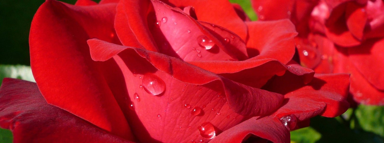 праздник каждый день