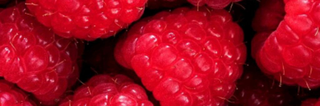 Инвестиции в недвижимость с Ириной Скворцовой