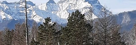 НАТА-РОМАШКА-3