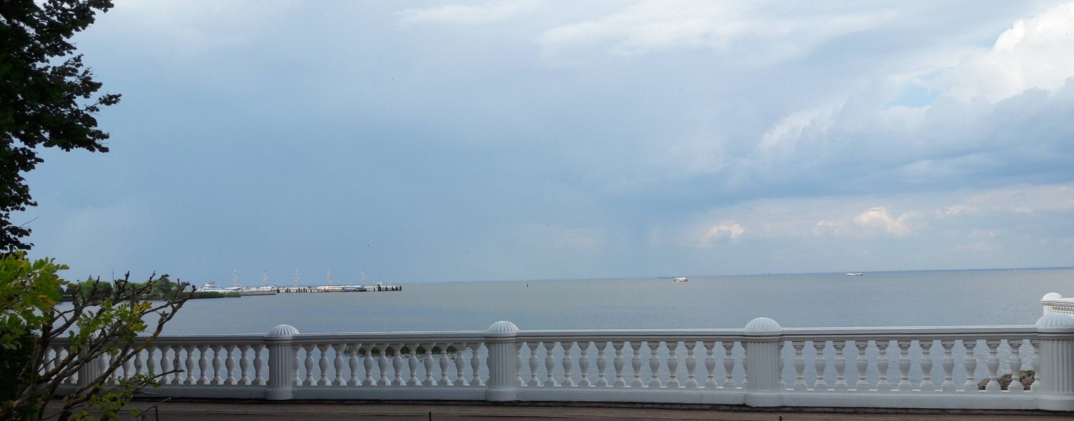 Два смартфона