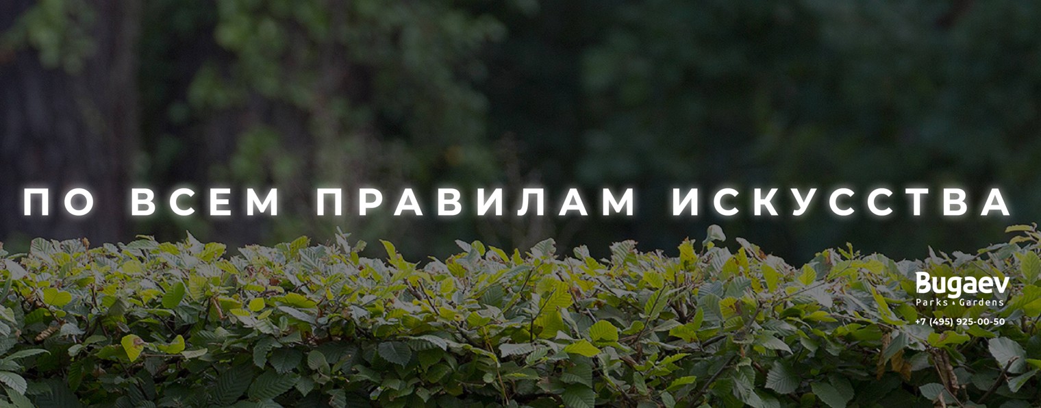 Ландшафтная архитектура | Bugaev Parks&Gardens